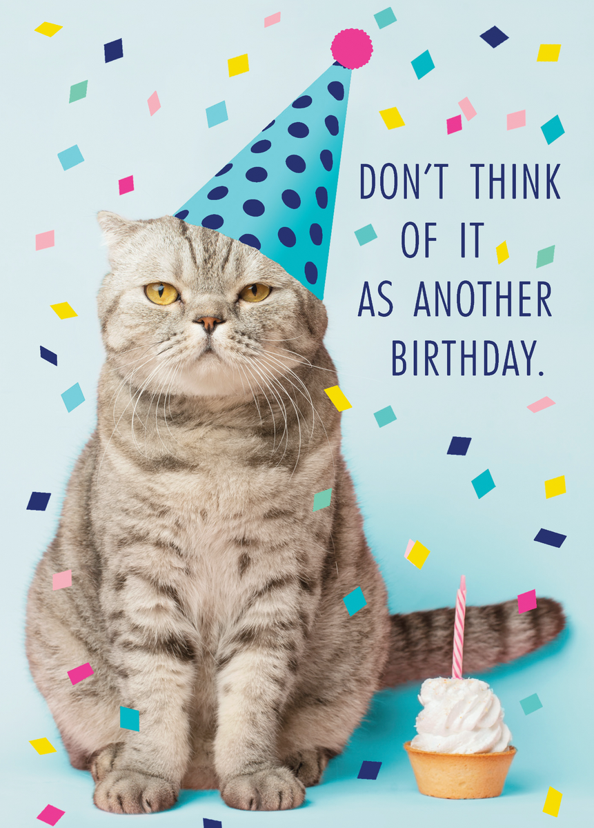 Personalised Funny Cat In Party Hat Birthday Card – Hallmark