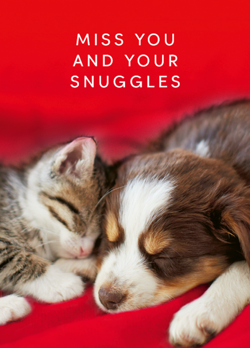 Personalised Cute Puppy And Kitten Miss You Card – Hallmark