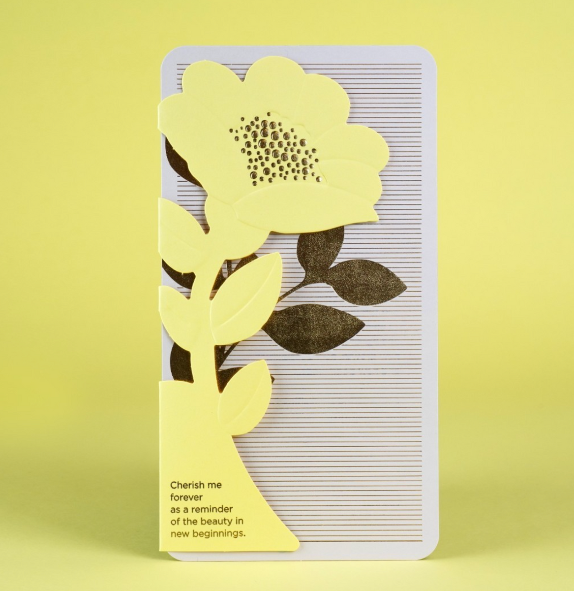 James Cropper New Beginnings Collaboration – Hallmark