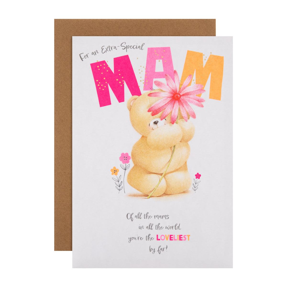 Forever Friends Birthday Card for Mam | Hallmark UK