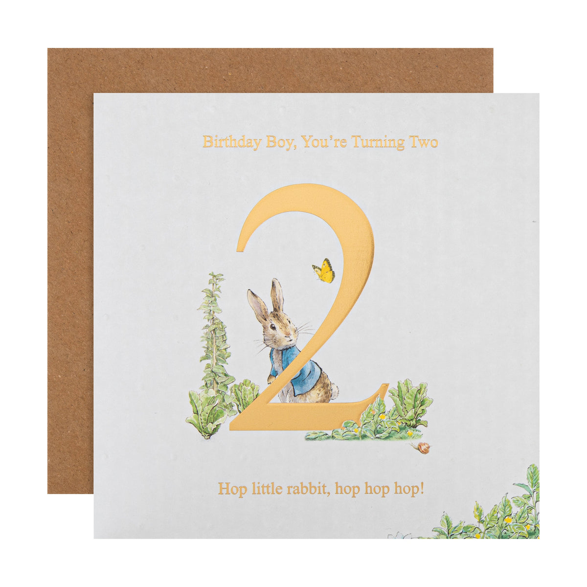 Peter Rabbit 2nd Birthday Card Little Boy | Hallmark UK