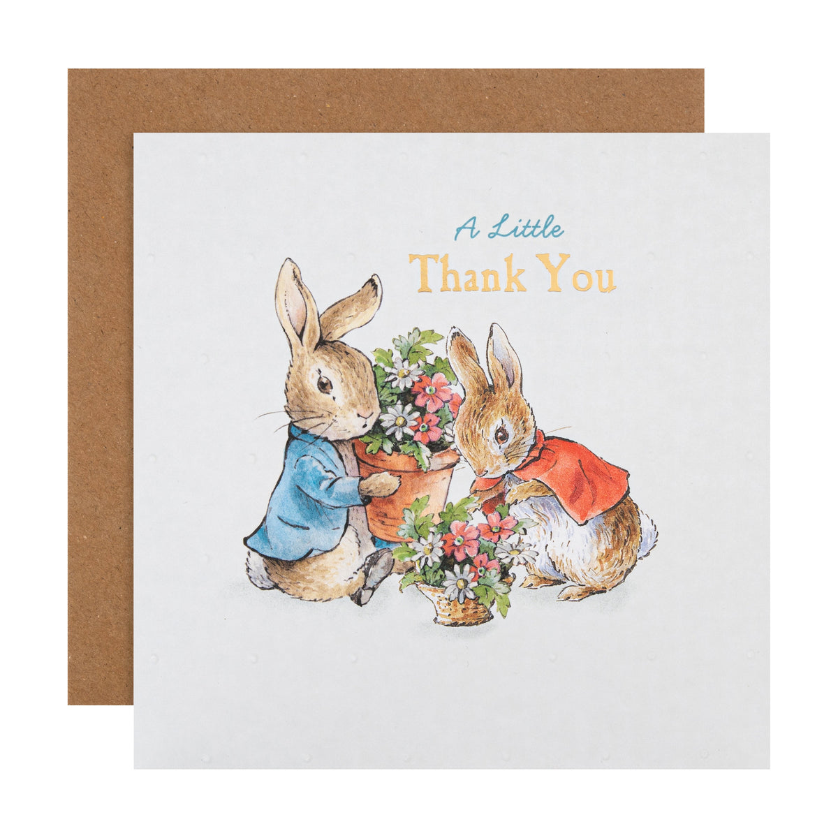 Peter Rabbit Thank You Card | Hallmark UK