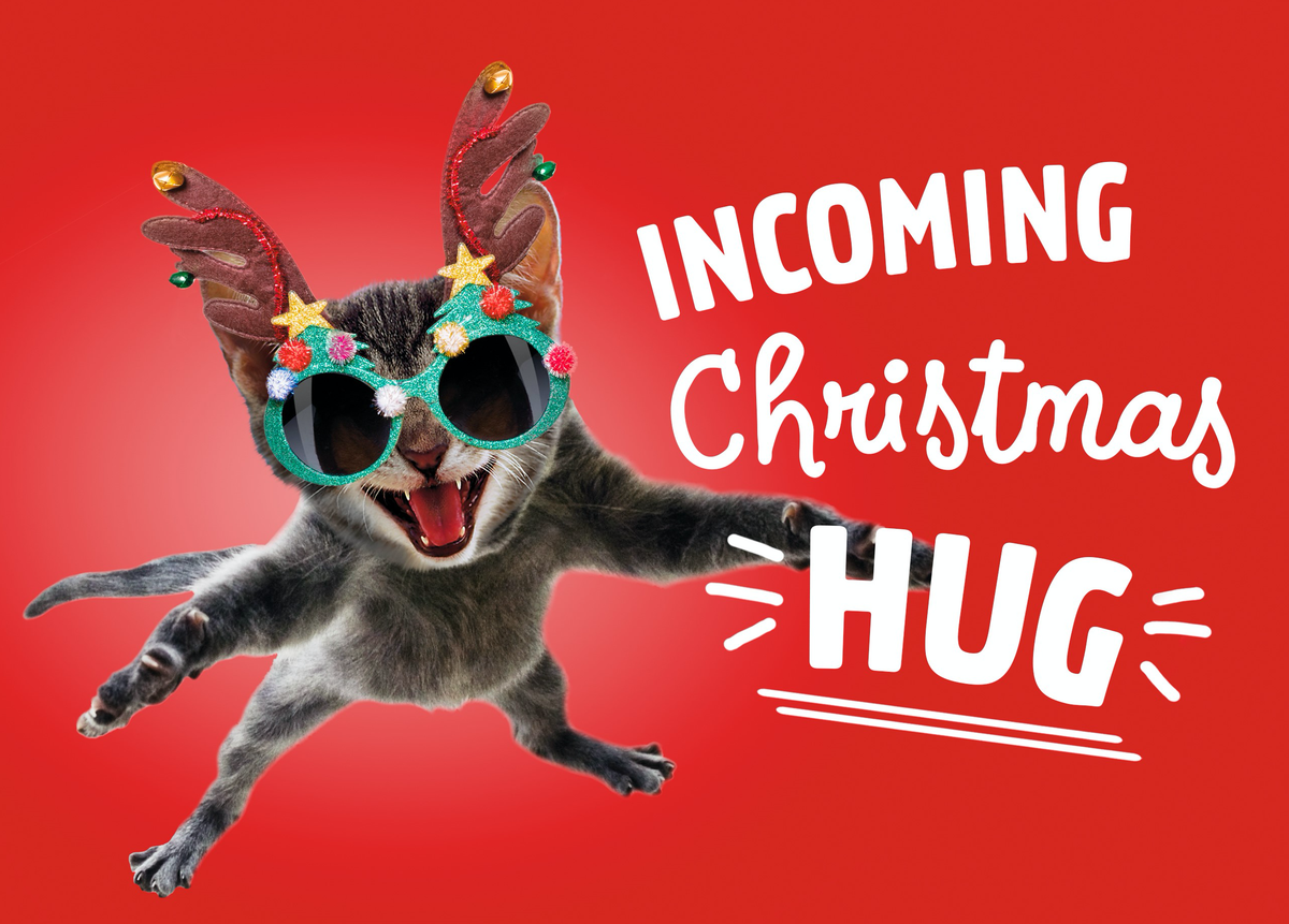 Personalised Funny Cat Hug Christmas Card – Hallmark