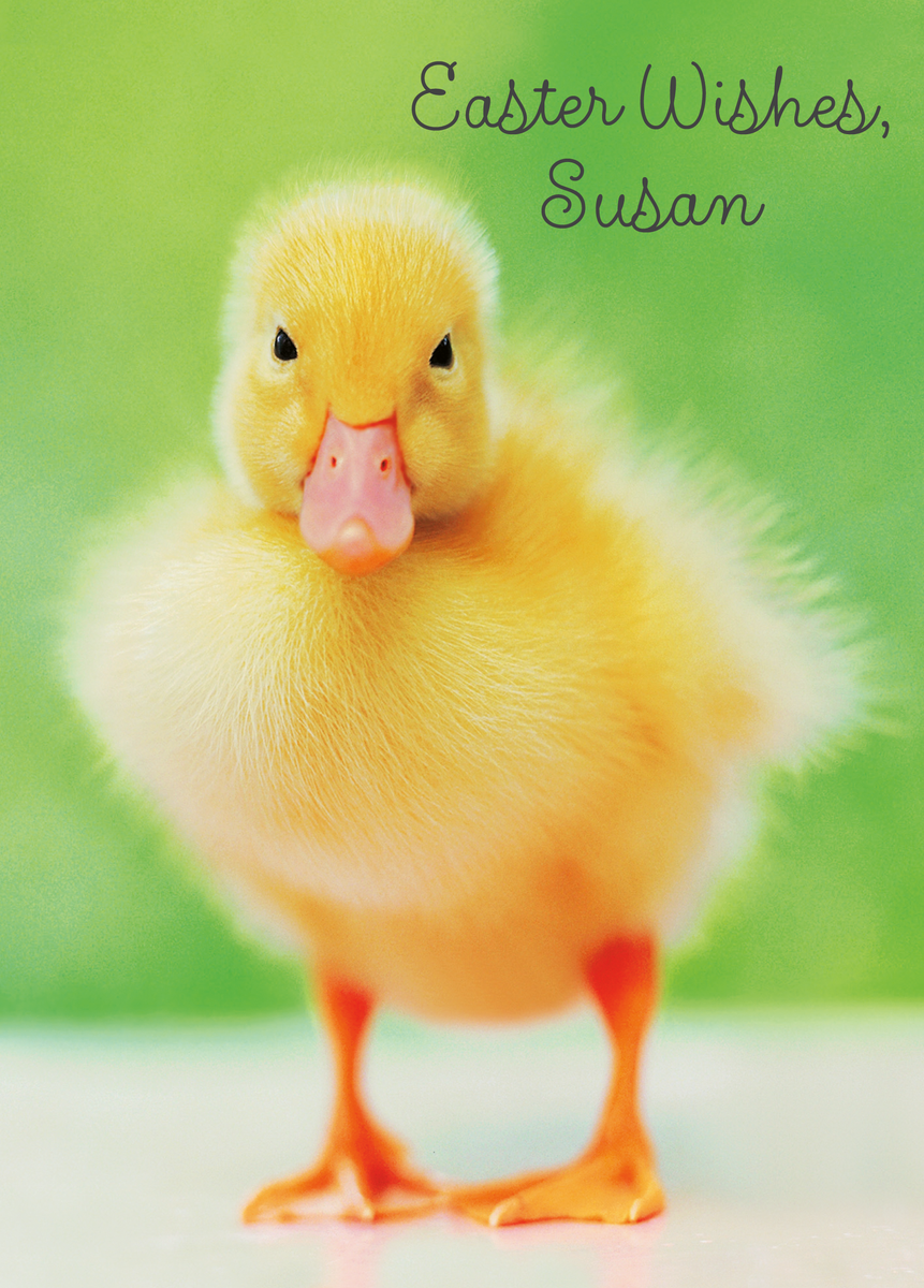 Personalised Cute Yellow Duckling Easter Card | Hallmark UK