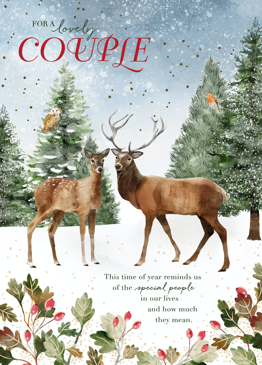 Personalised Traditional Christmas Special Couple Deer Card – Hallmark