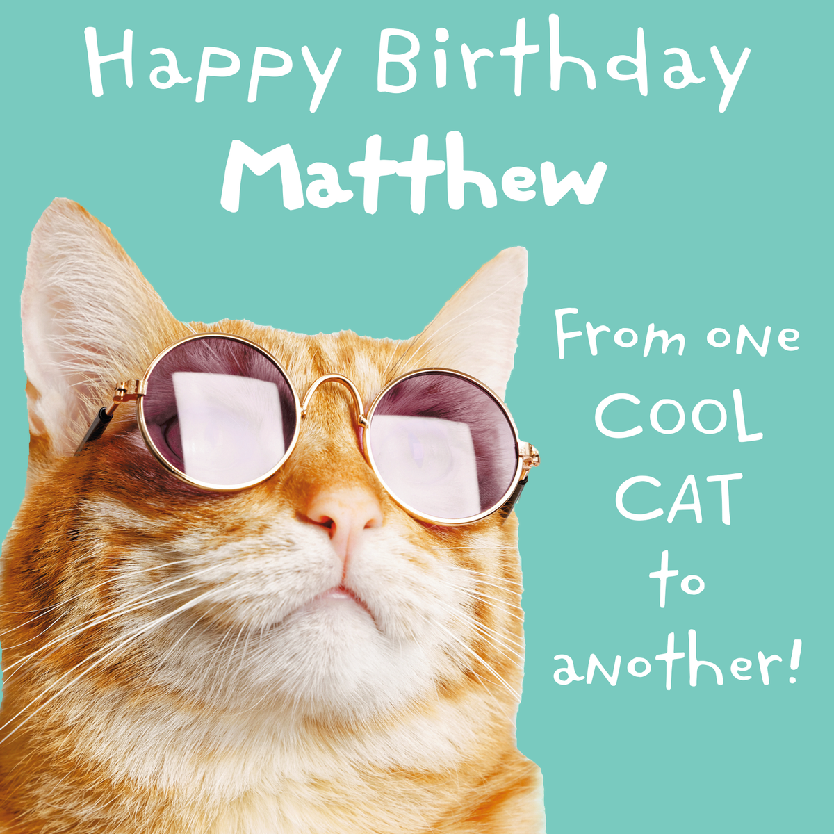 Personalised Editable Funny Cool Cat Birthday Card | Hallmark