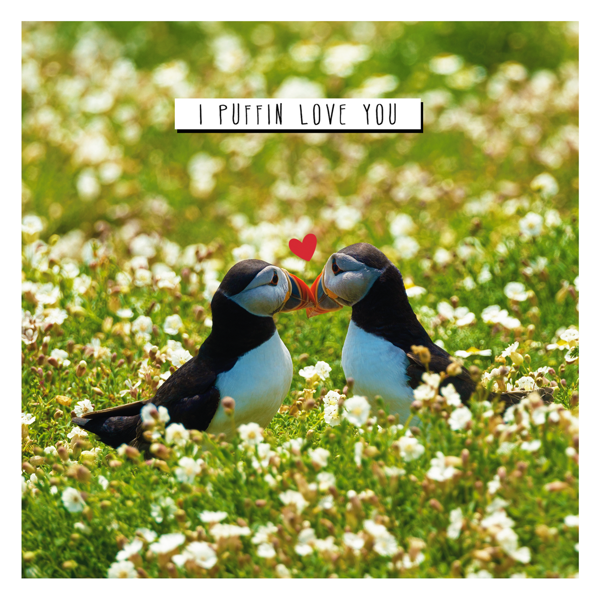 Personalised INSPIRED Puffins Thinking of You Card | Hallmark UK