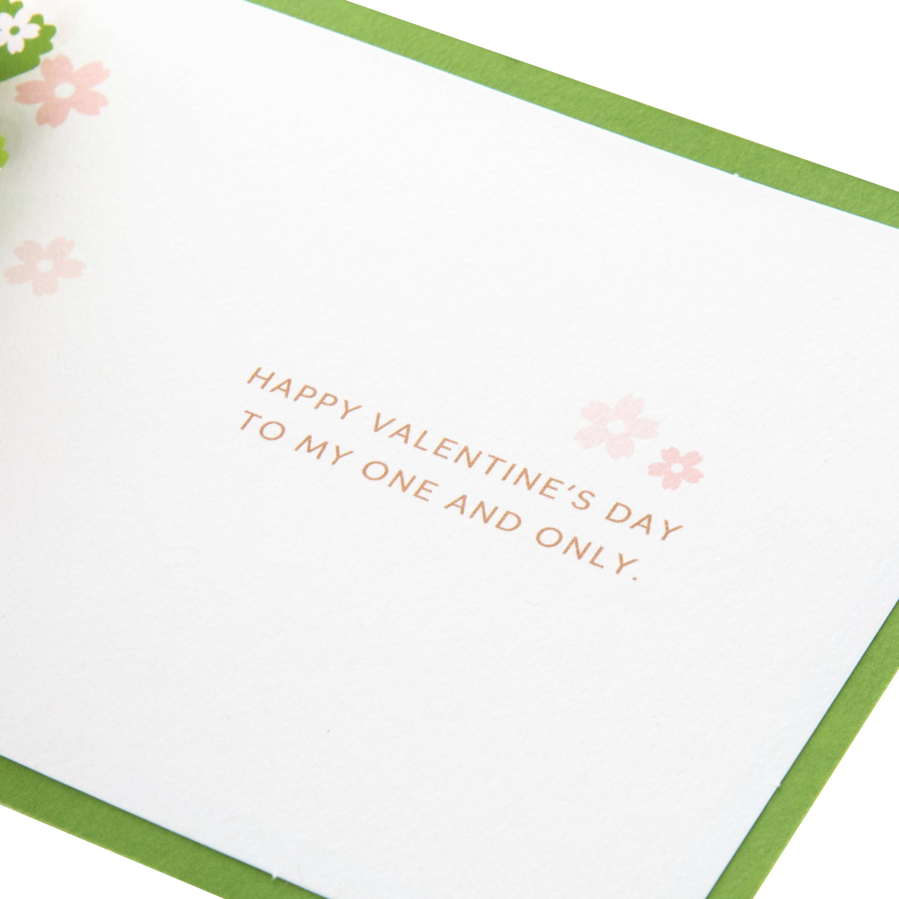 Signature Paper Wonder Collection Pop-Up Valentine Card | Hallmark