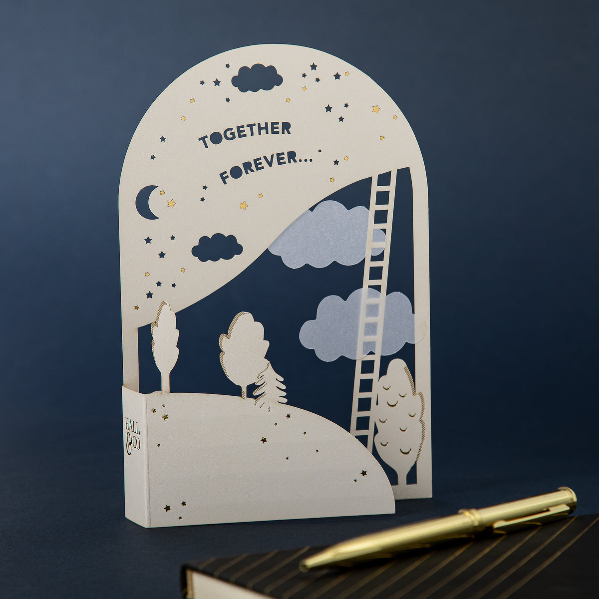 Hall & Co 3D 'Together Forever' Love Card | Hallmark