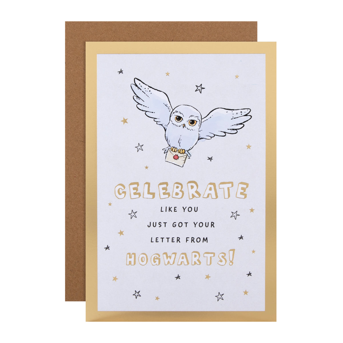 General Birthday Card - Harry Potter™ Hedwig & Letter Design – Hallmark