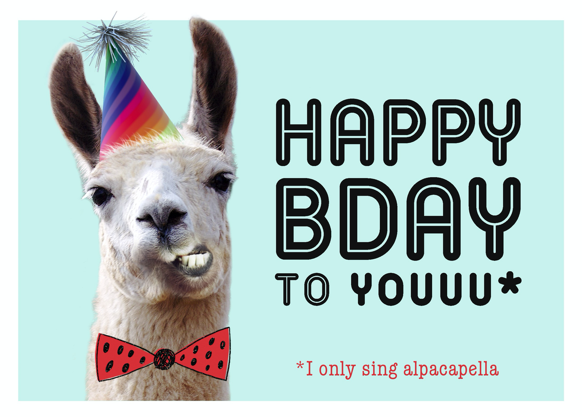 Personalised Happy Birthday Party Alpaca Card – Hallmark