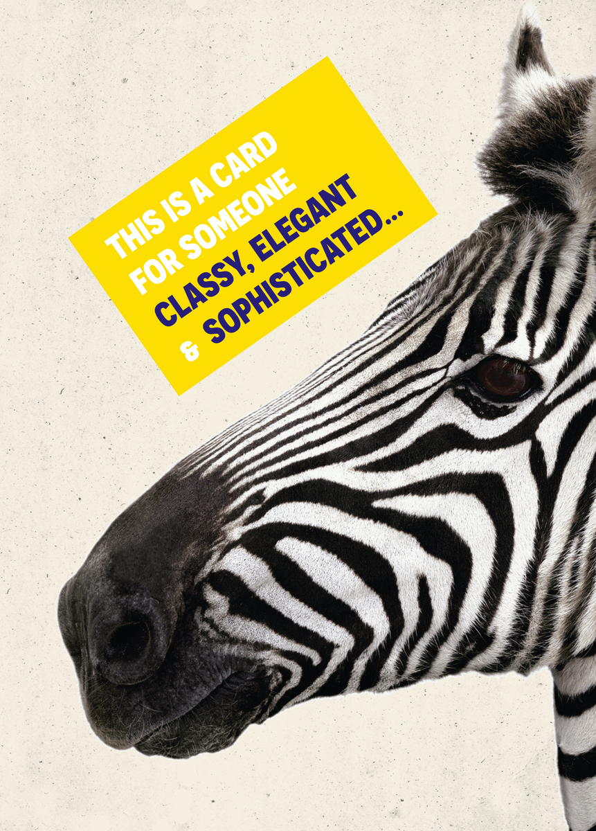 Personalised Funny Caption Zebra Card – Hallmark