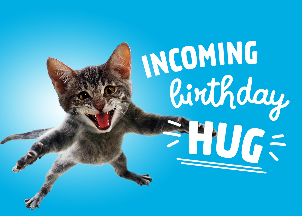 Personalised Birthday Cat Hugs Card – Hallmark