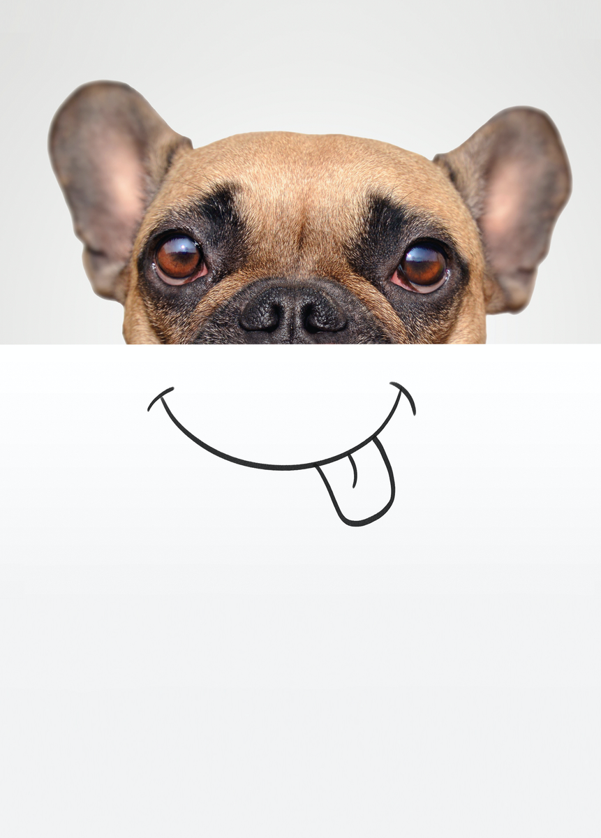 Personalised Funny Dog Cartoon Card – Hallmark