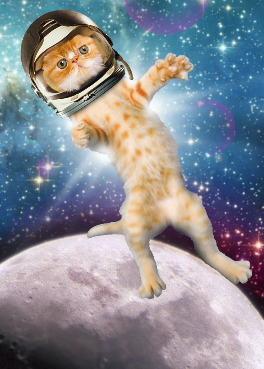 Personalised Shoebox Space Kitten Birthday Card – Hallmark