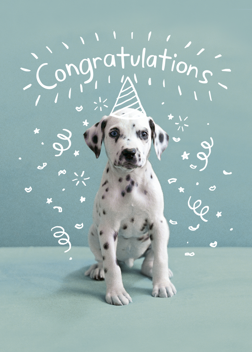 Personalised Cute Dalmatian Puppy Congratulations Card – Hallmark